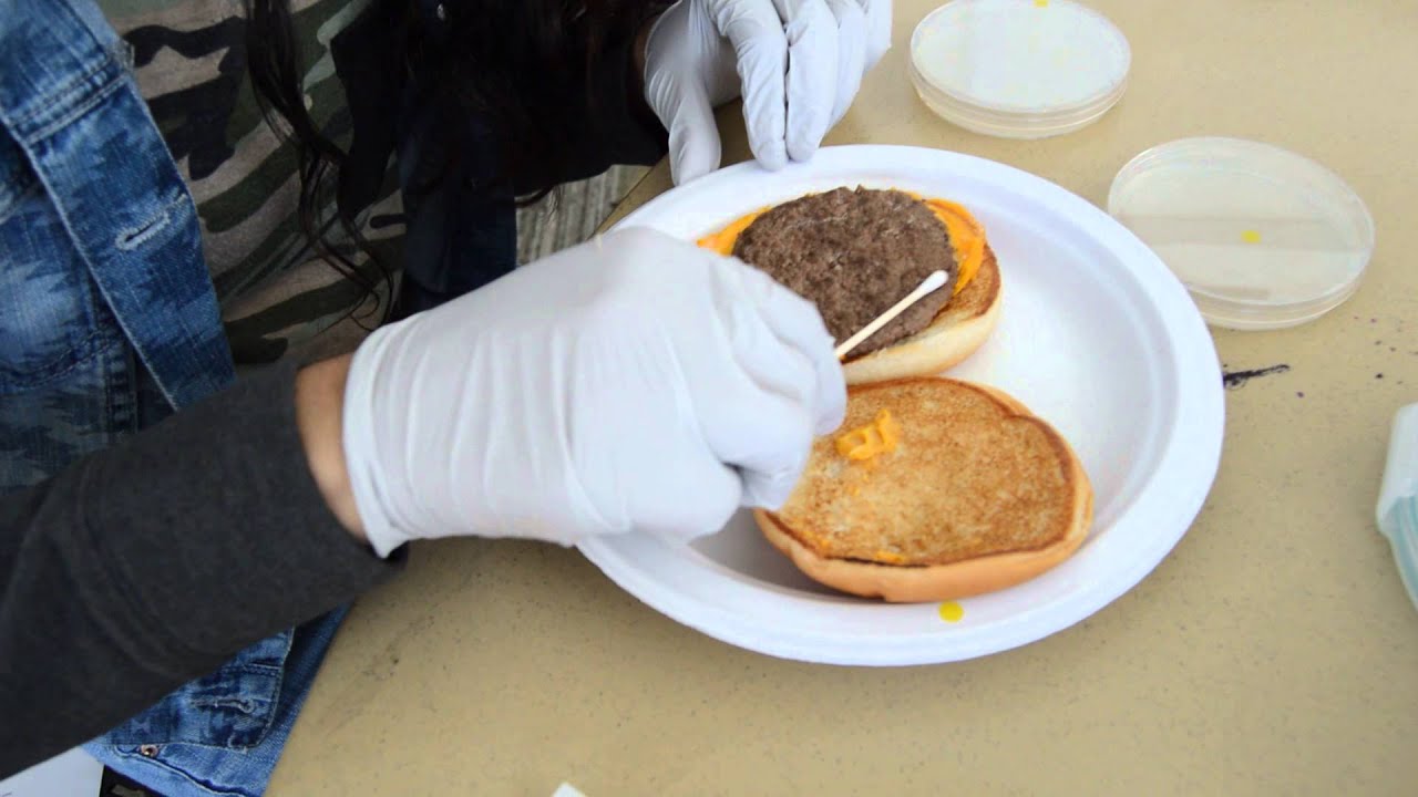 Project WISE Student Experiments on Fast Food Burger - YouTube