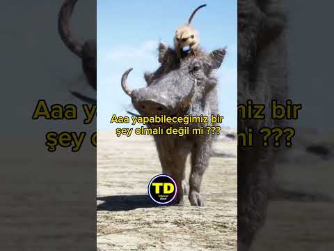 Kötü şeyler olur ve sen değiştiremezsin, Dünya sana sırt çevirmisse, Sende dünyaya sırt çevireceksin