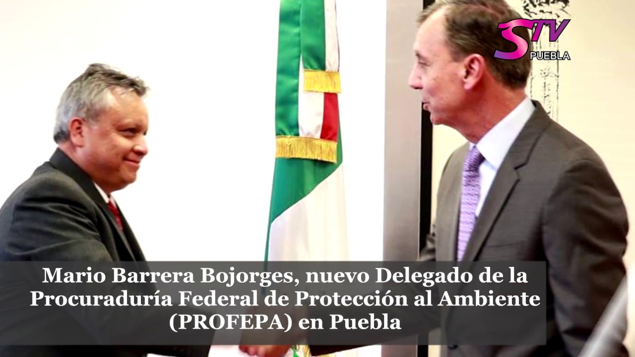 STV Noticias.- Designan a nuevo Delegado de PROFEPA en Puebla. - YouTube