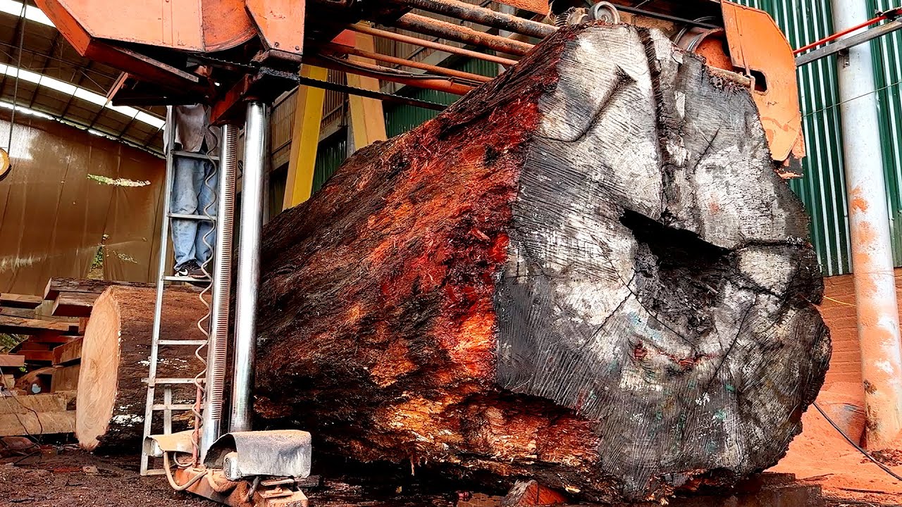 Shocking Secret Inside a Rotten Tree Stump // Wood Cutting Skills - YouTube