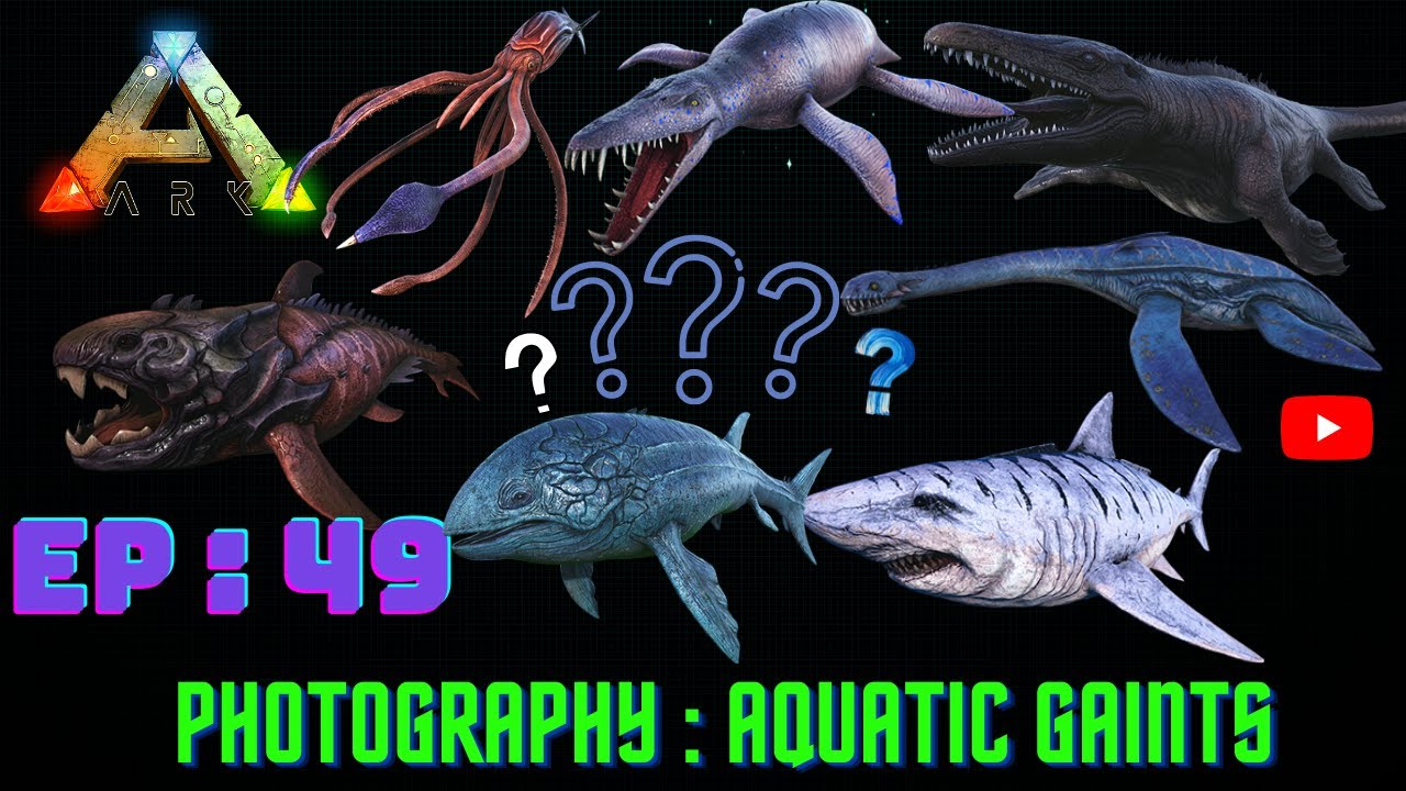 Photography : Aquatic Giants || Pursuiy || EP 49 || Ark Mobile - YouTube