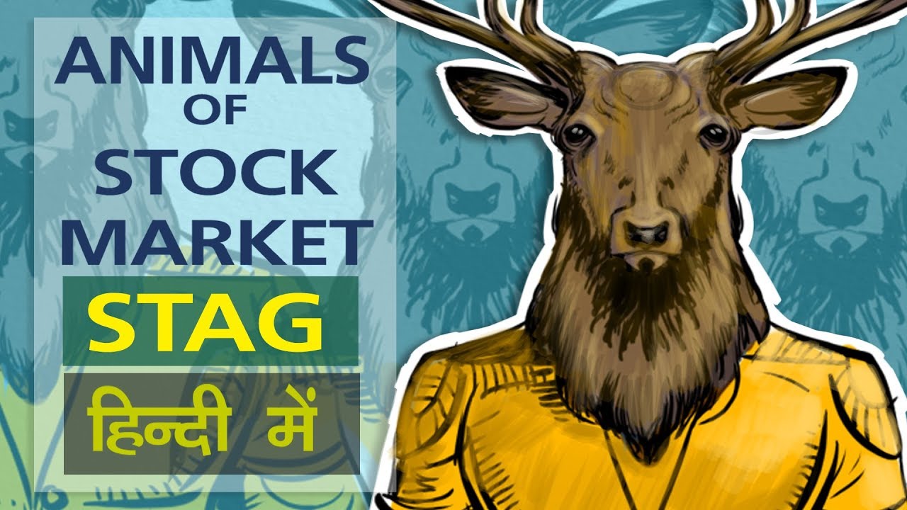 Animals Of The Stock Market 4 - STAG || शेयर मार्किट में STAG किसे कहते ...
