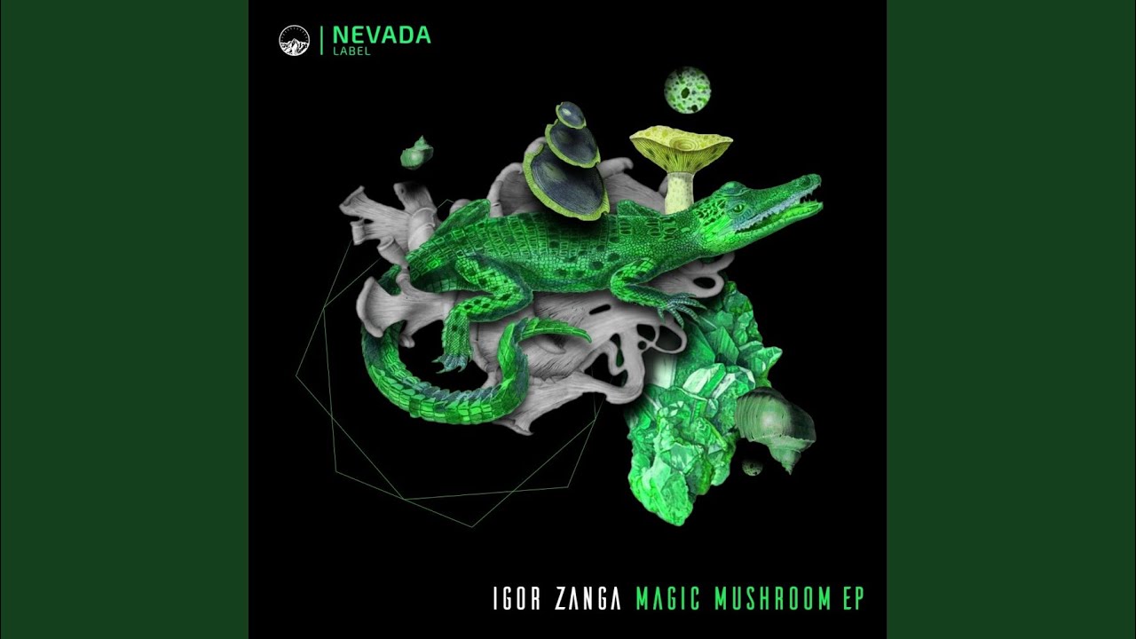 Magic Mushroom (Original Mix) - YouTube