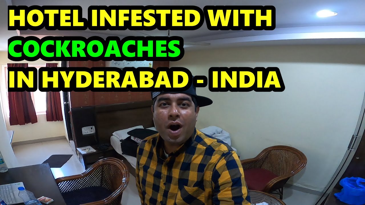 Hotel Infested With Cockroaches in Hyderabad - India - YouTube