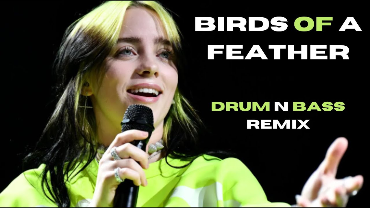 Billy Eilish - Birds Of A Feather (Sunder Remix) - Drum n Bass - YouTube