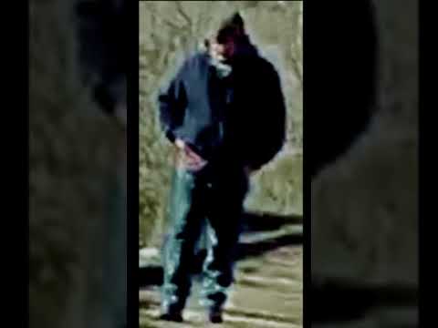 Delphi Murders. Bridge Guy. Slowed. #shorts - YouTube