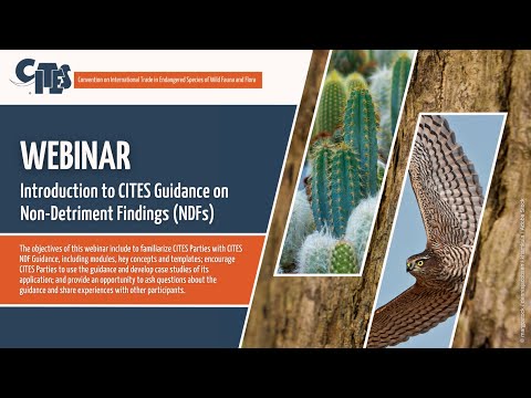 Introduction to CITES Guidance on Non-Detriment Findings (NDFs) - YouTube