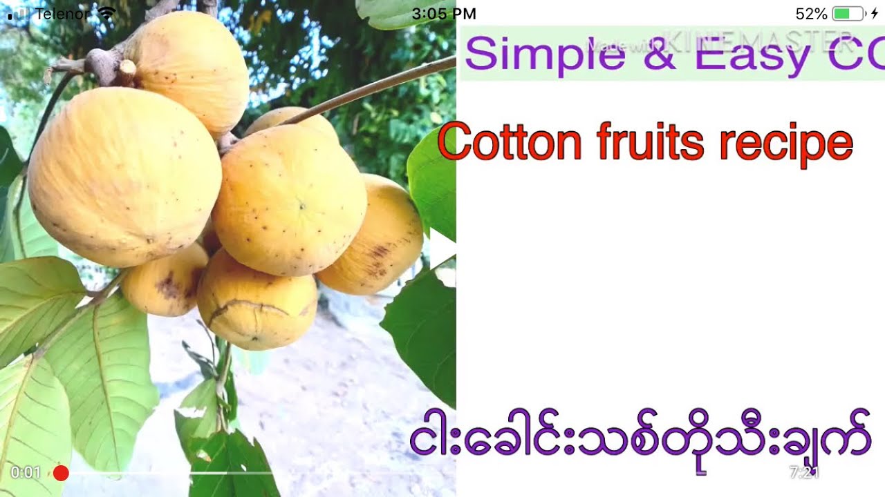 Cotton fruits with fish head recipeငါးခေါင်းသစ်တိုသီးချက် - YouTube
