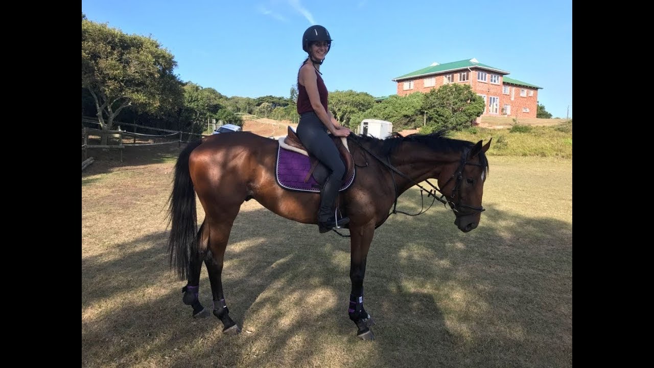 Trying out horses | Buying my first horse - YouTube