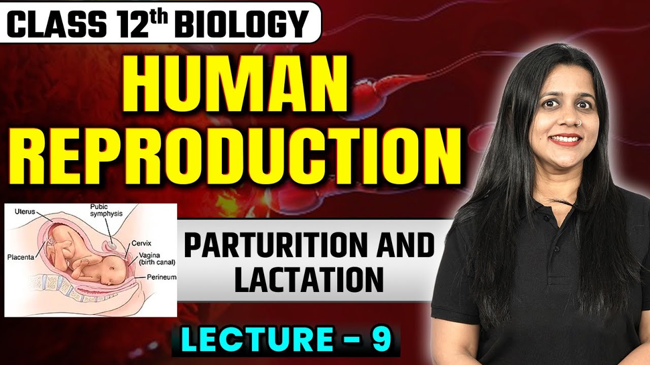 Parturition and Lactation🎯 | Human Reproduction Class 12 | Lecture - 9 ...