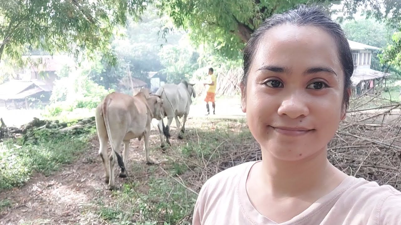 Nagwarwar kami ng baka vlog🤣 - YouTube