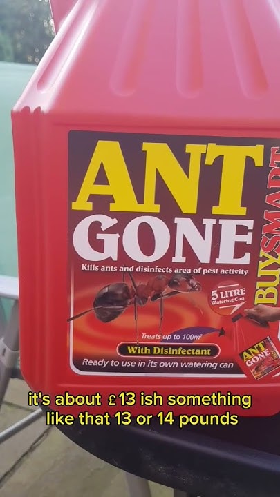 Ant Gone - Effective Ant Control - YouTube