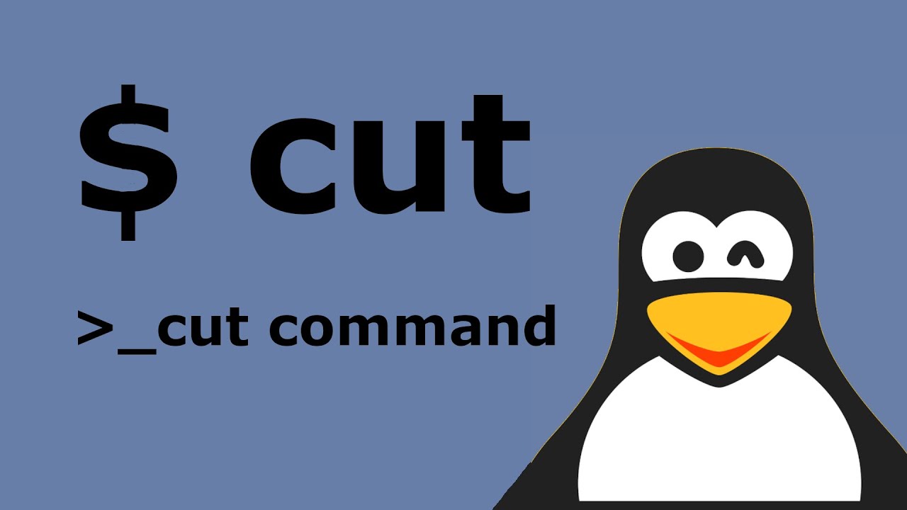 All you need to know about CUT command - YouTube