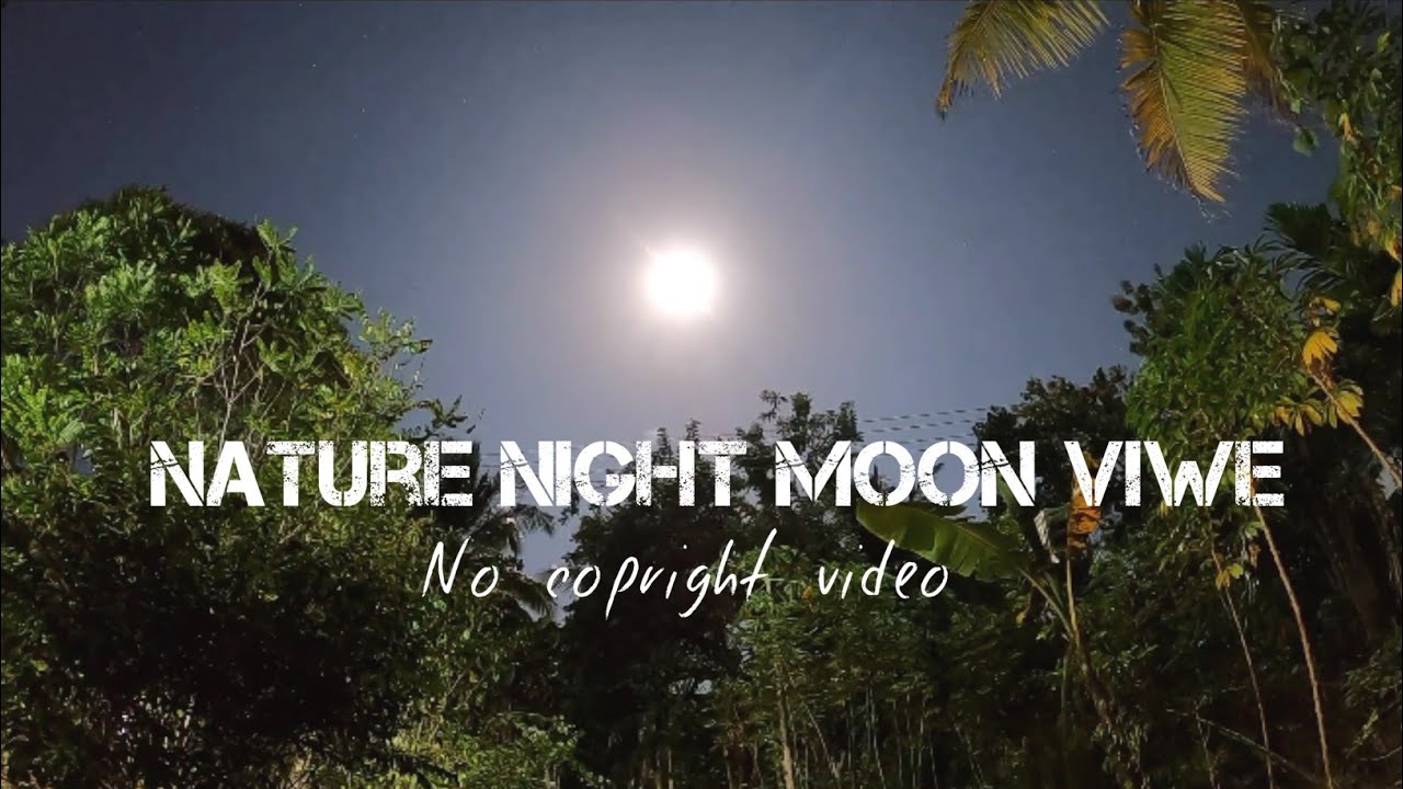 Nature Night Moon Beautiful Viwe footage | No Copright Video ...