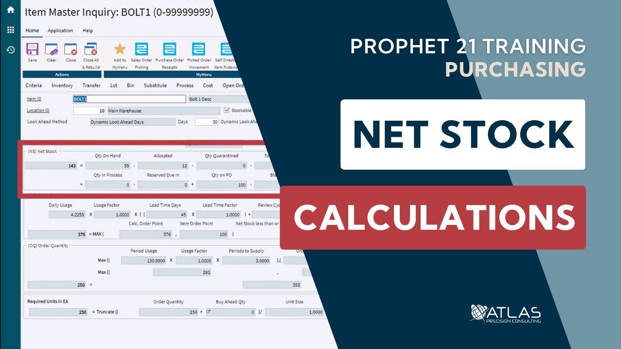 Prophet 21 Training and How To - Purchasing: Net Stock - YouTube