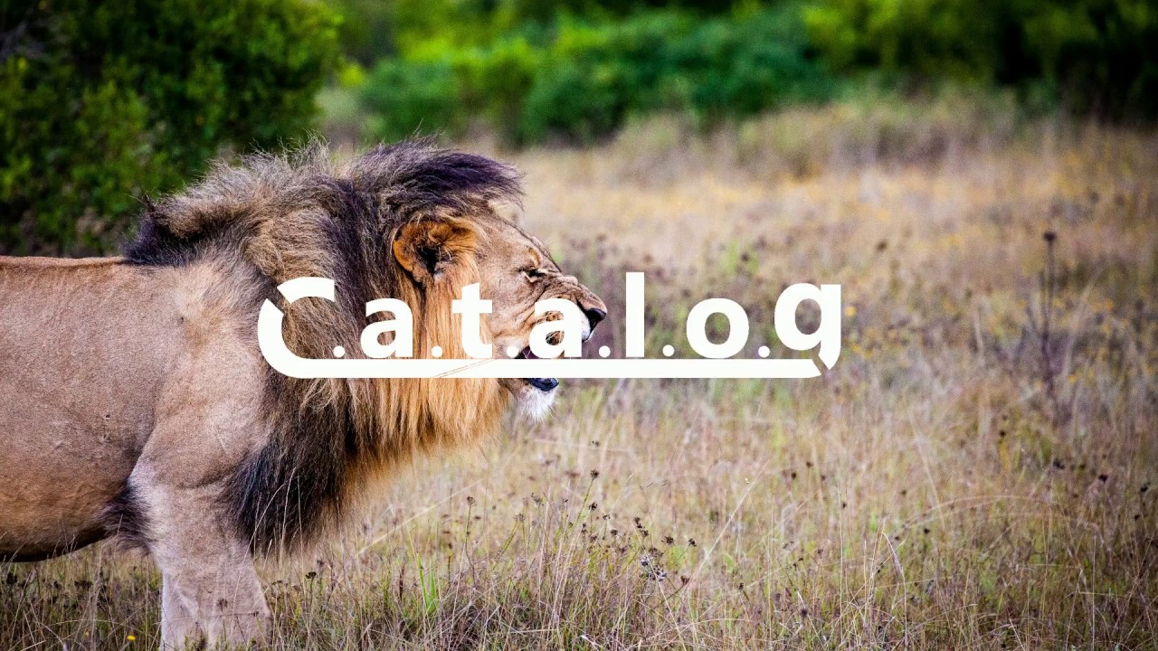 Sean Paul - Breathe Ft Blu Cantrell (Calvin Buckley Remix) - YouTube