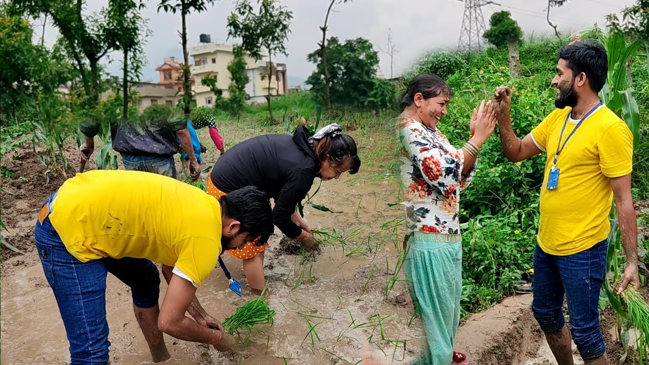 Enjoying Month of Ashar/ Dhan Ropai/Himesh/Megha/Manju - YouTube