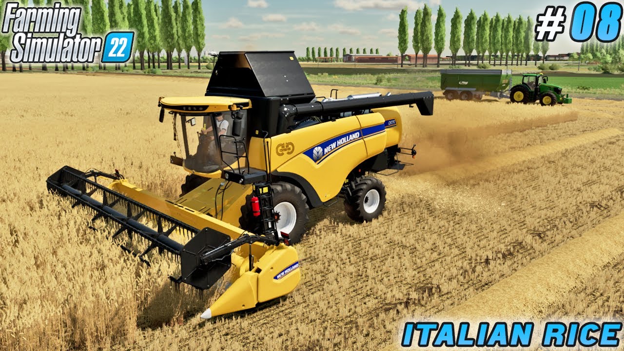 Harvesting Golden Wheat and Prepping for the Next Season! | Italian ...