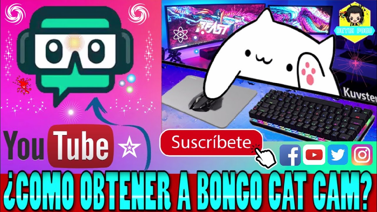 Como obtener BONGO CAT CAM y Modificarlo en Photoshop para tus streams ...
