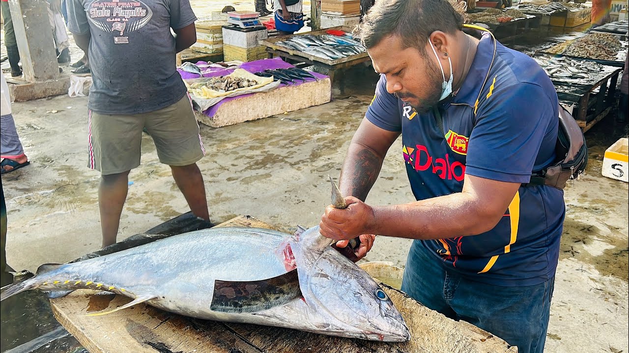 Giant Fish Cutting Compilation | 6 Different Fish Cutting Skills - YouTube