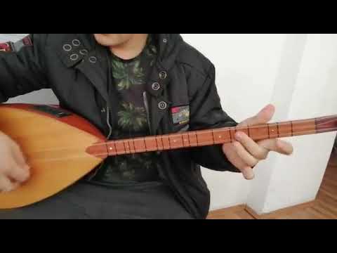 Gülcihan koç  yarim için ölüyorum eller neder ise desin