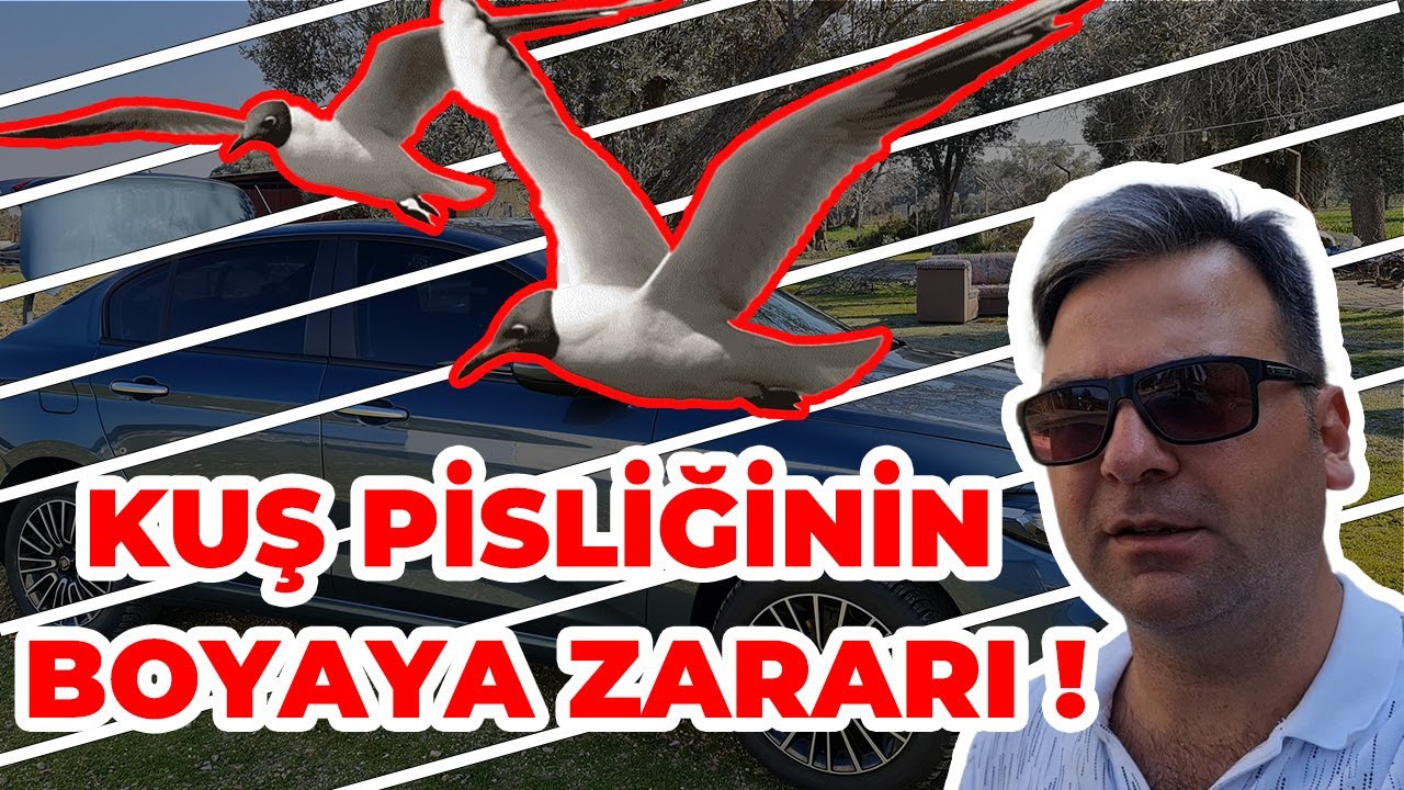 BOYAYI SÖKTÜ / Kuş Pisliği ve Boyaya Verdiği Zarar - YouTube