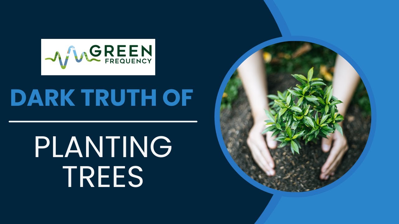 Does planting trees actually cool the planet? #climatechange # ...