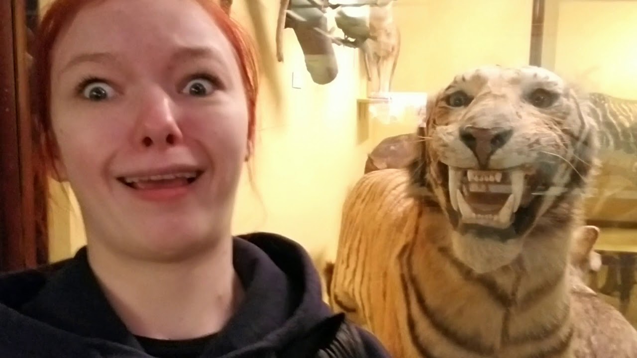 HOLY HECK ITS COLD | museum day - YouTube