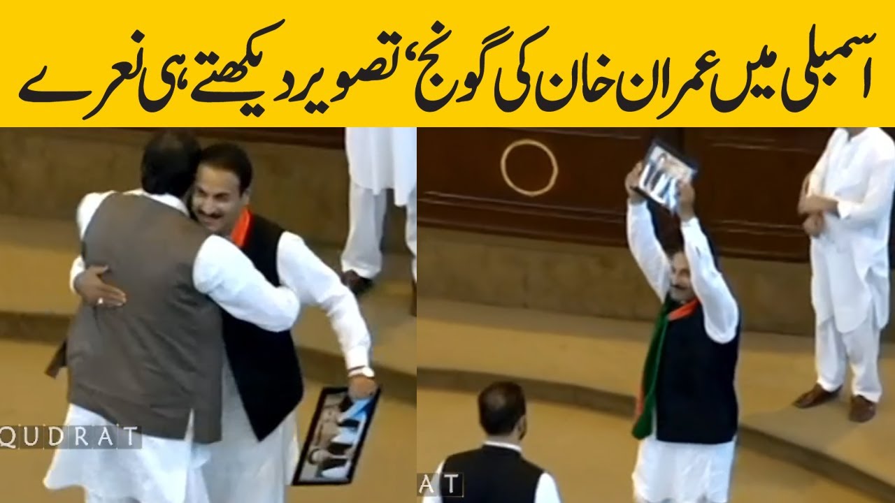 PTI New Elected MPA Dawood Shah Oath KPK Assembly | اسمبلی میں عمران ...