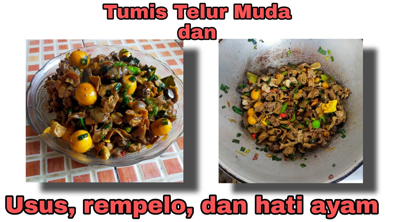 TELUR MUDA Resep tumis telur muda, usus, rempelo, dan hati ayam - YouTube