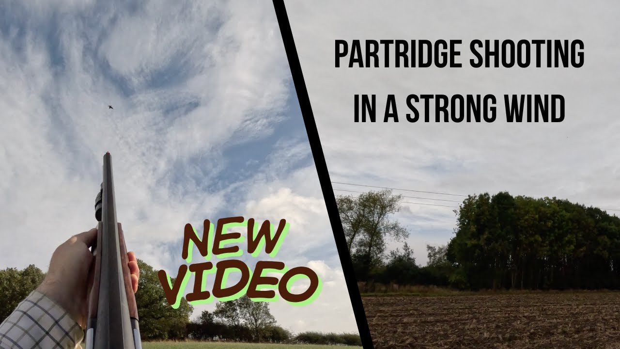 Partridge Shooting in Storm Amy!! - YouTube