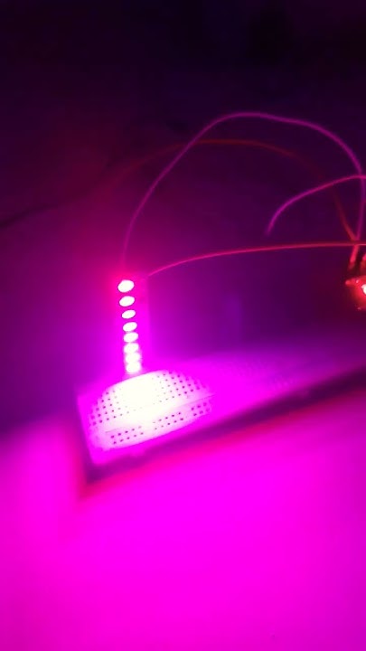 Arduino Ws2812 Argb Led Ws2812 Ws2812b Argb Arduino Neopixel Shorts Arduinoproject