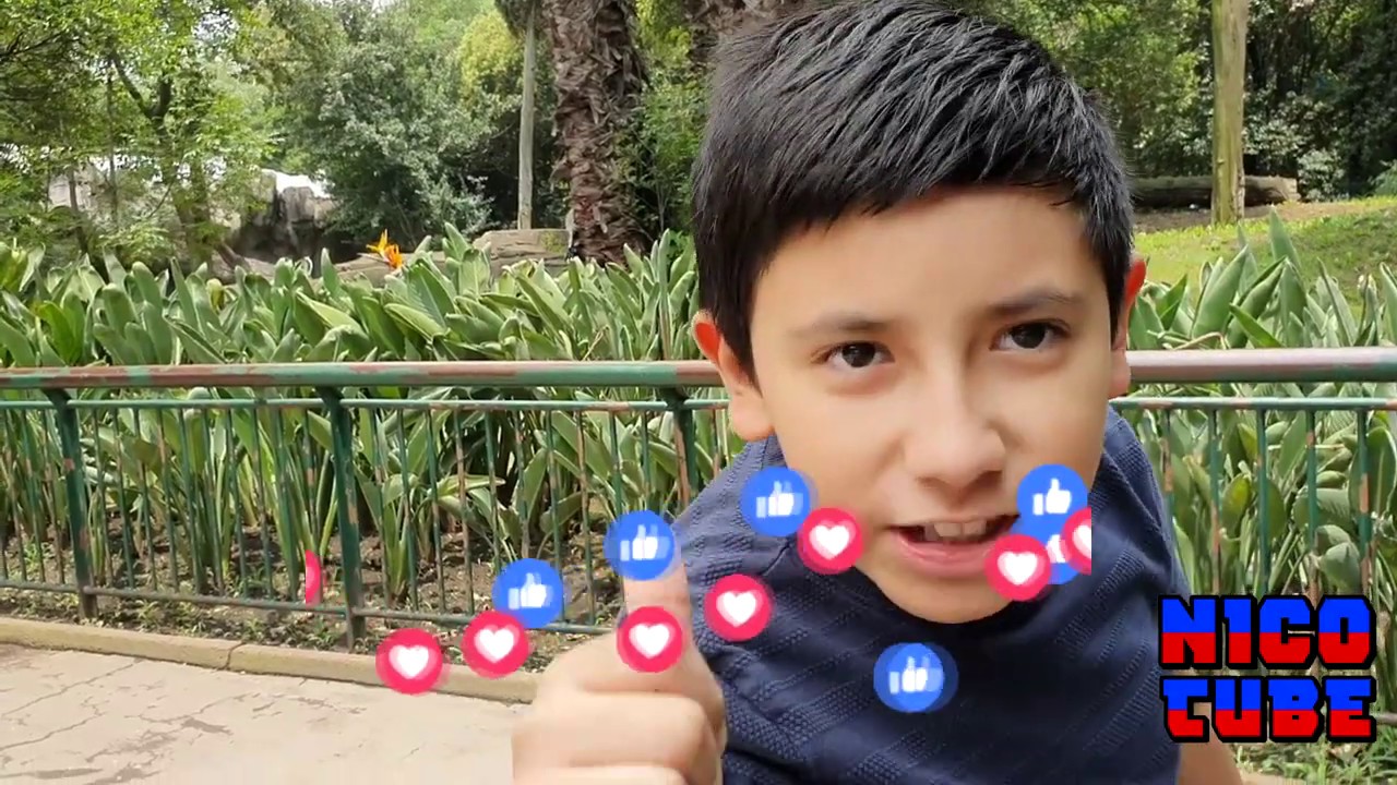 Nico Tube | visitando el Zoológico de Chapultepec - YouTube