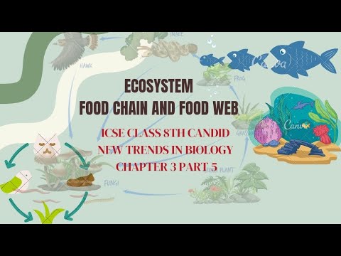 FOOD CHAIN AND FOOD WEB | ECOSYSTEM | ICSE CLASS 8TH BIOLOGY | CHAPTER ...