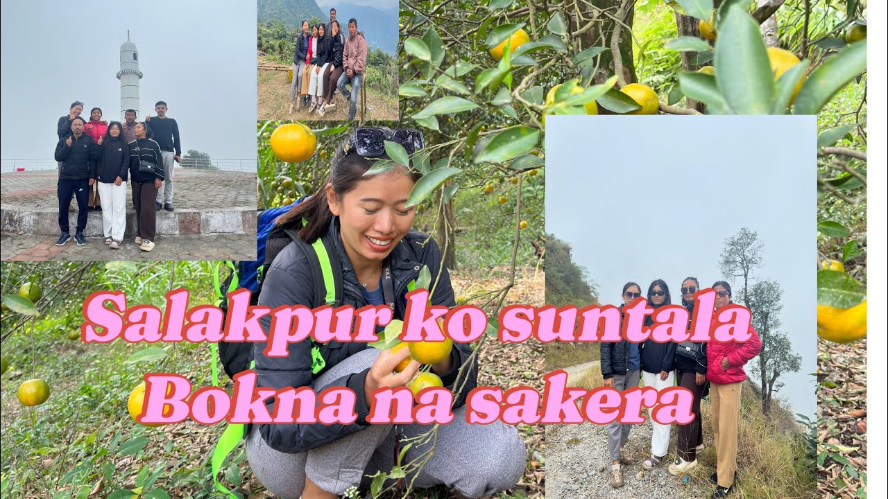 Salakpur kati dherai ani kati mitho suntala falexa yo saal/ matra 100 ...