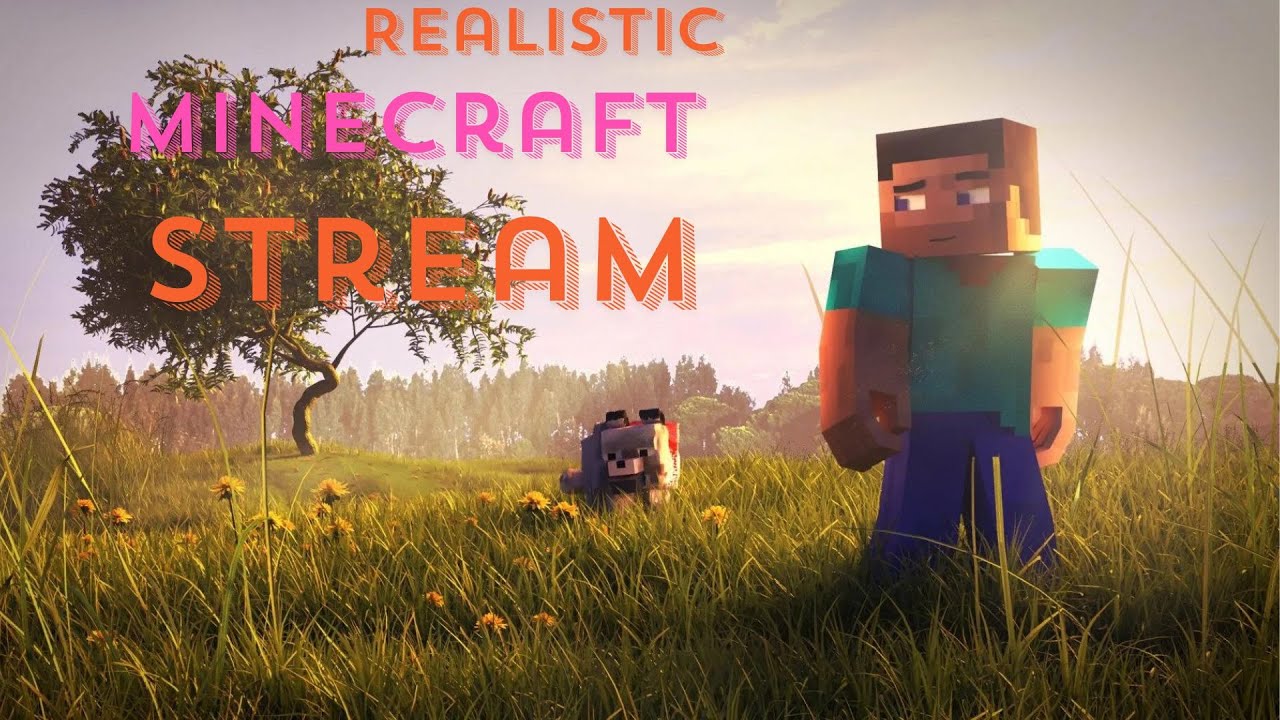 Realistic Minecraft Stev SREALC zborka/veb camera bilan stream ...