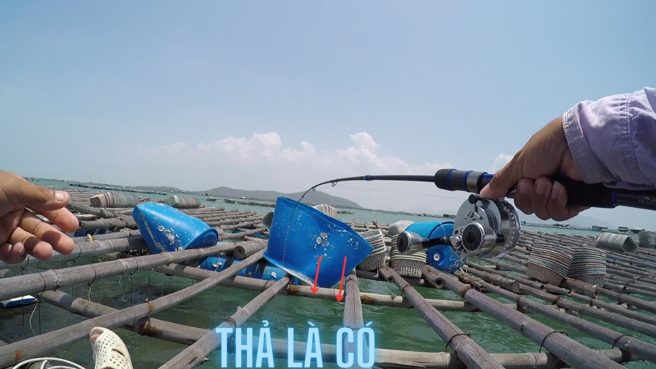 107/ Cá ăn mạnh buổi sáng . Lại lỗ đó thả là có cá . Câu IKADA / IKADA ...