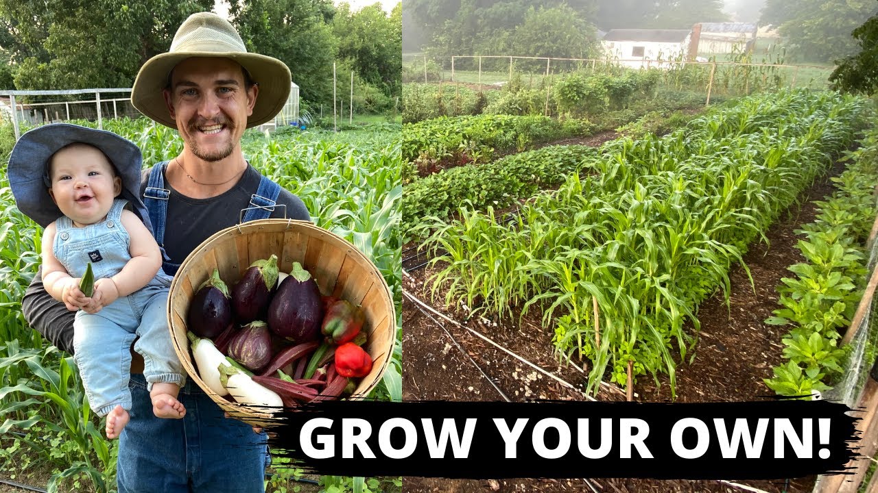 We grow EVERYTHING on 1/3 ACRE | GARDENING FOR CALORIES - YouTube