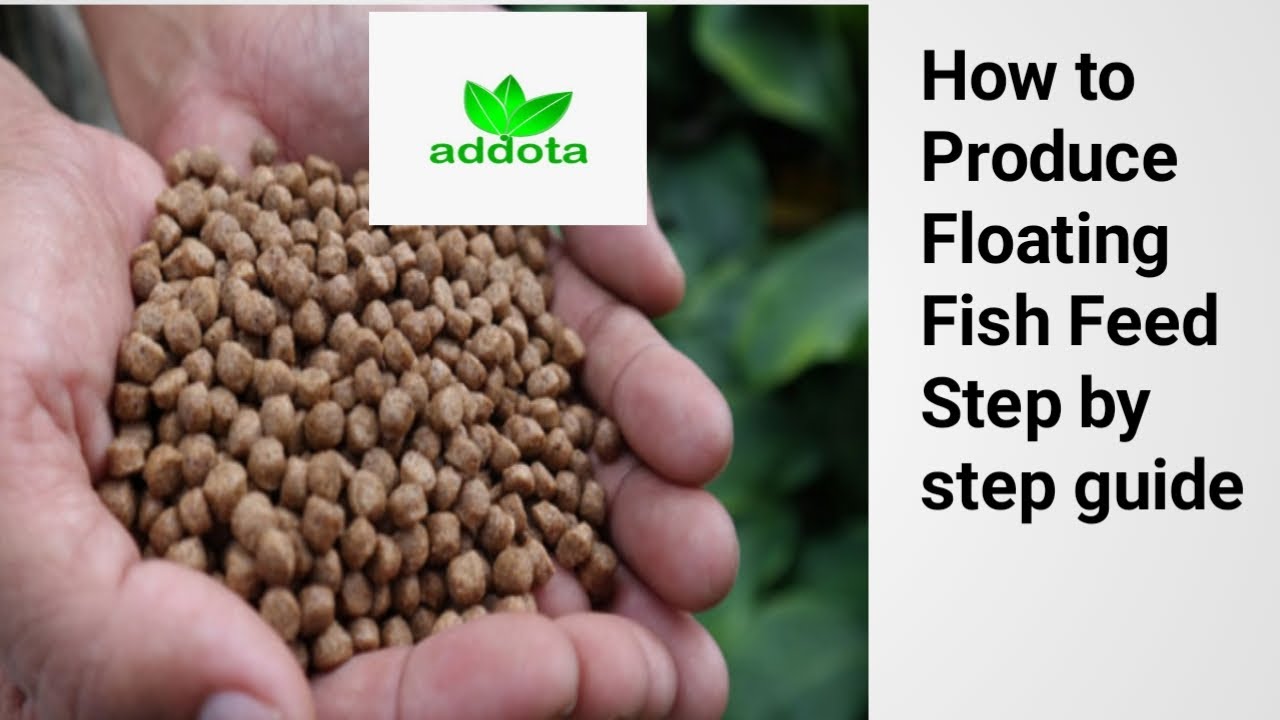 Step by step on How to produce Floating Fish Feed with Addota farm ...