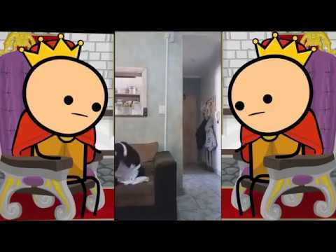 best cosplay (trapito dance) male or female - YouTube