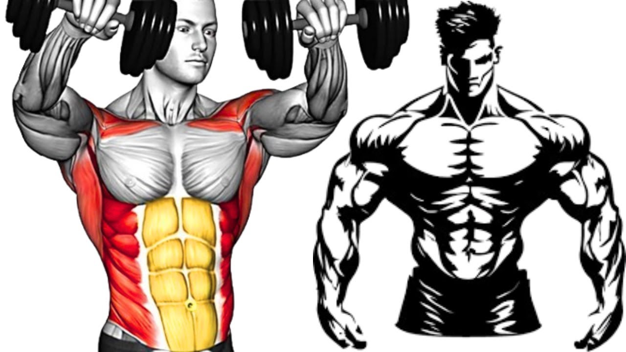 V Shaped Body Workout For Men | Home Workout For V Body - YouTube