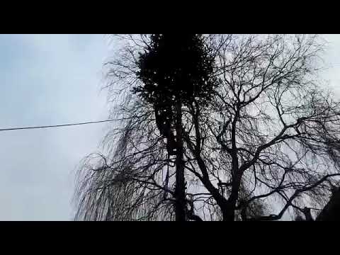 Rigging fail - YouTube