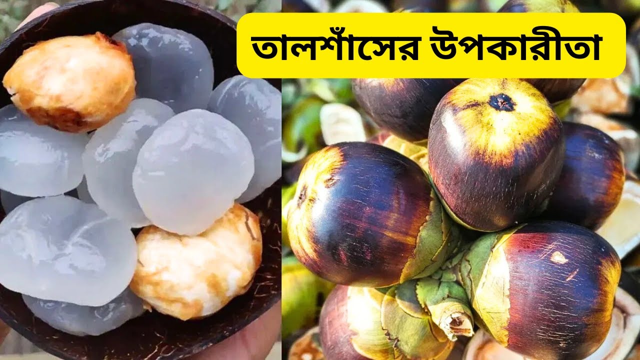 তালশাঁসের উপকারিতা | গরমের শান্তিদায়ক ফল | Talshash Benefits in ...