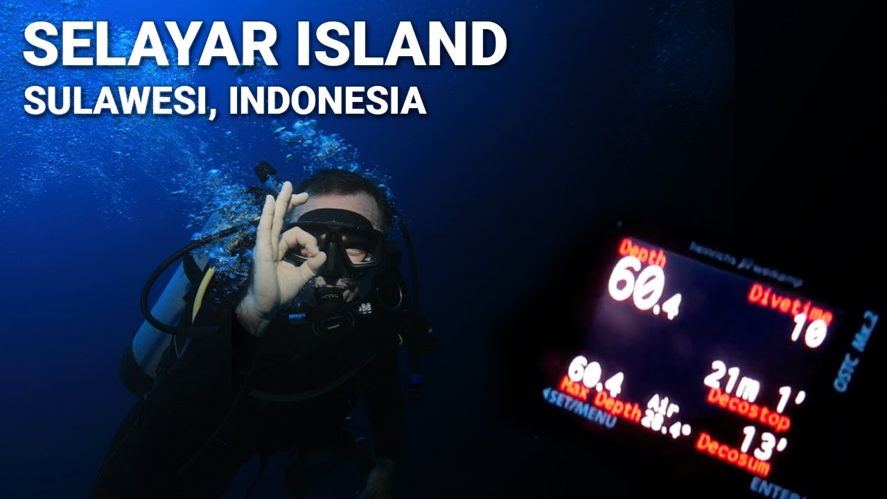 Diving "Selayar Island" (South Sulawesi, Indonesia) - YouTube