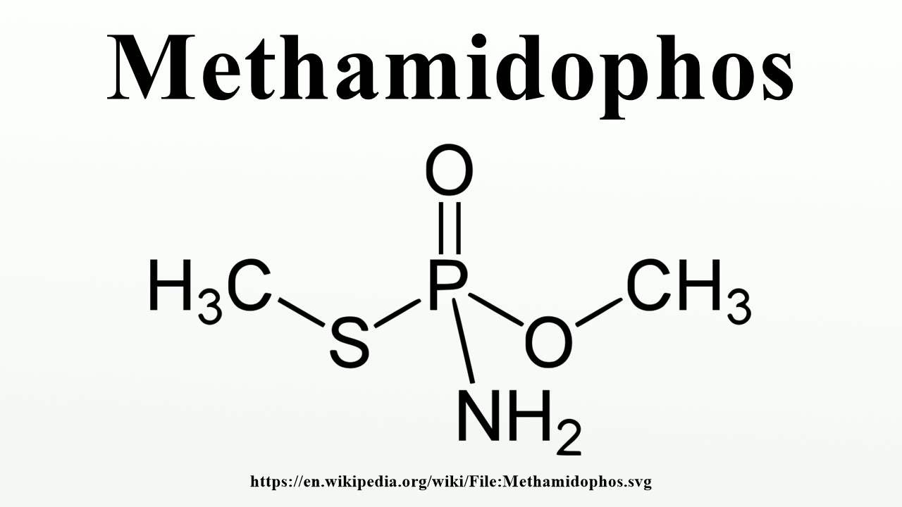 Methamidophos - YouTube