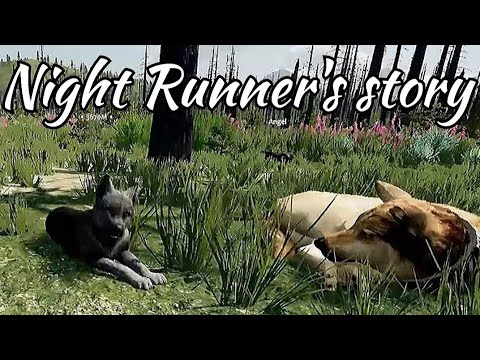 The Strong Must Protect The Sweet 🤜 | Wolfquest Anniversary Edition ...