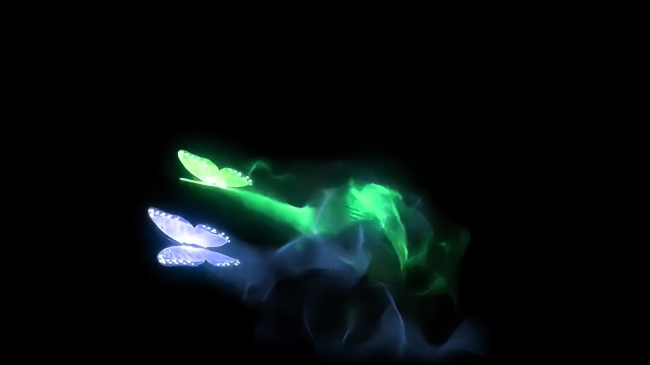 Butterfly effect black screen video | Flying butterfly black screen ...