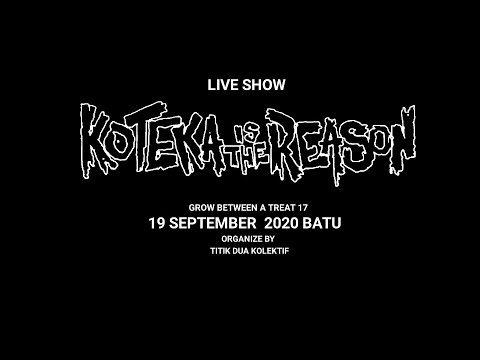 KOTEKA IS THE REASON