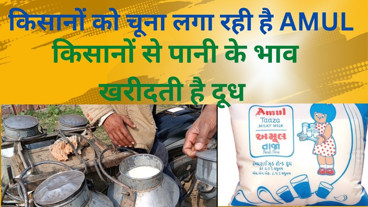 किसानों को एक लीटर दूध के कितने रुपए देता है AMUL.... - YouTube
