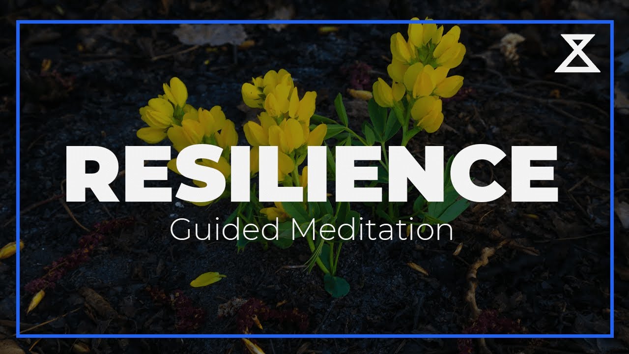 Build Resilience: 15-Minute Guided Mindfulness Meditation - YouTube